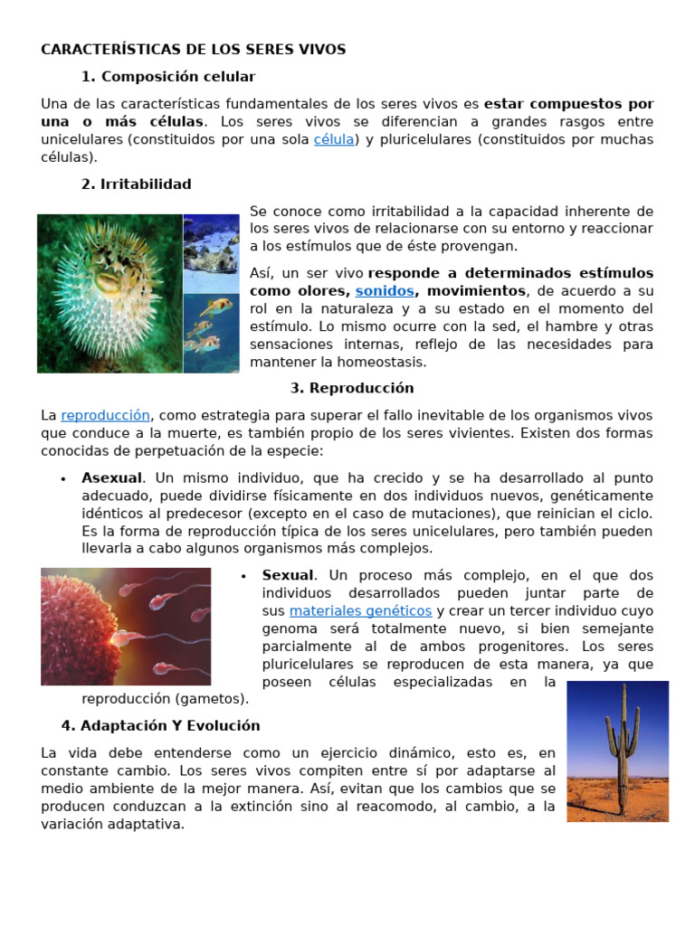 Características Esenciales de los Seres Vivos | PDF | Reproducción ...