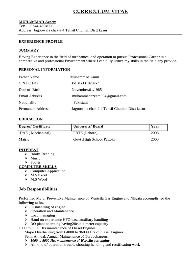 cv_Azeem | PDF | Boiler | Energy Technology