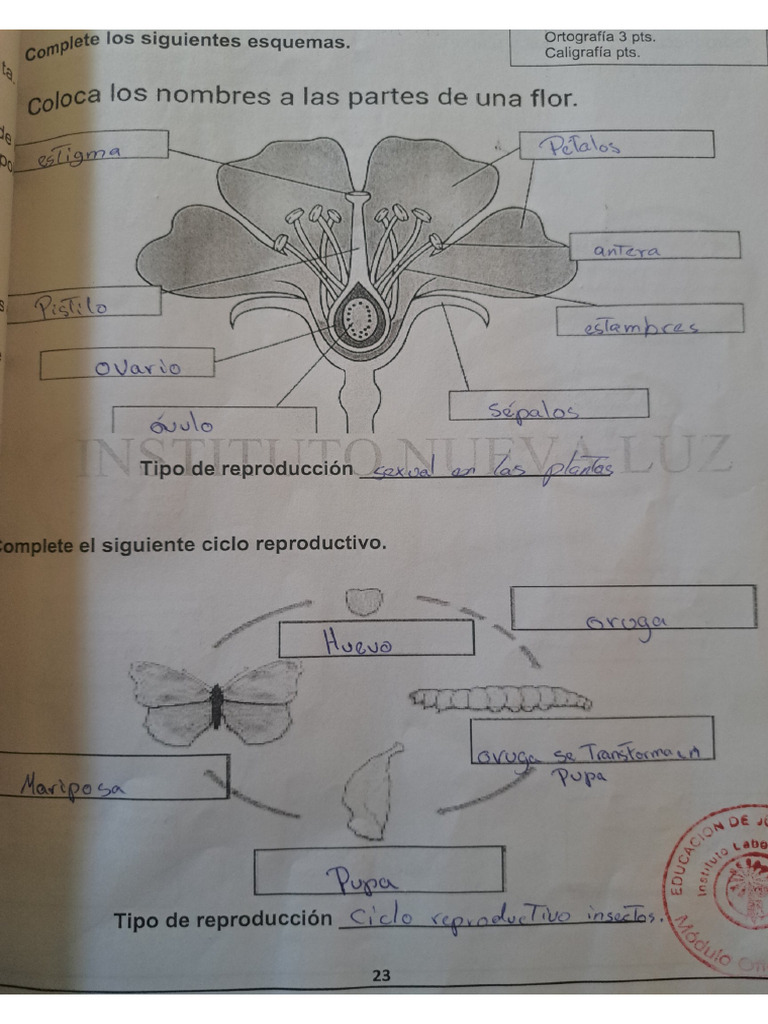 Ciencias Integradas 3 | PDF