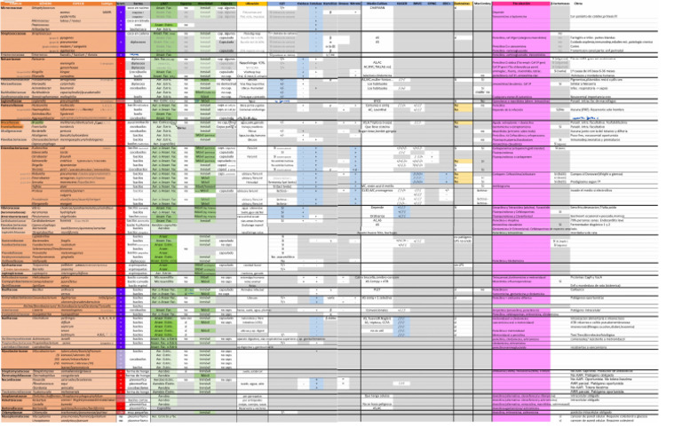 Tabla Micro | PDF