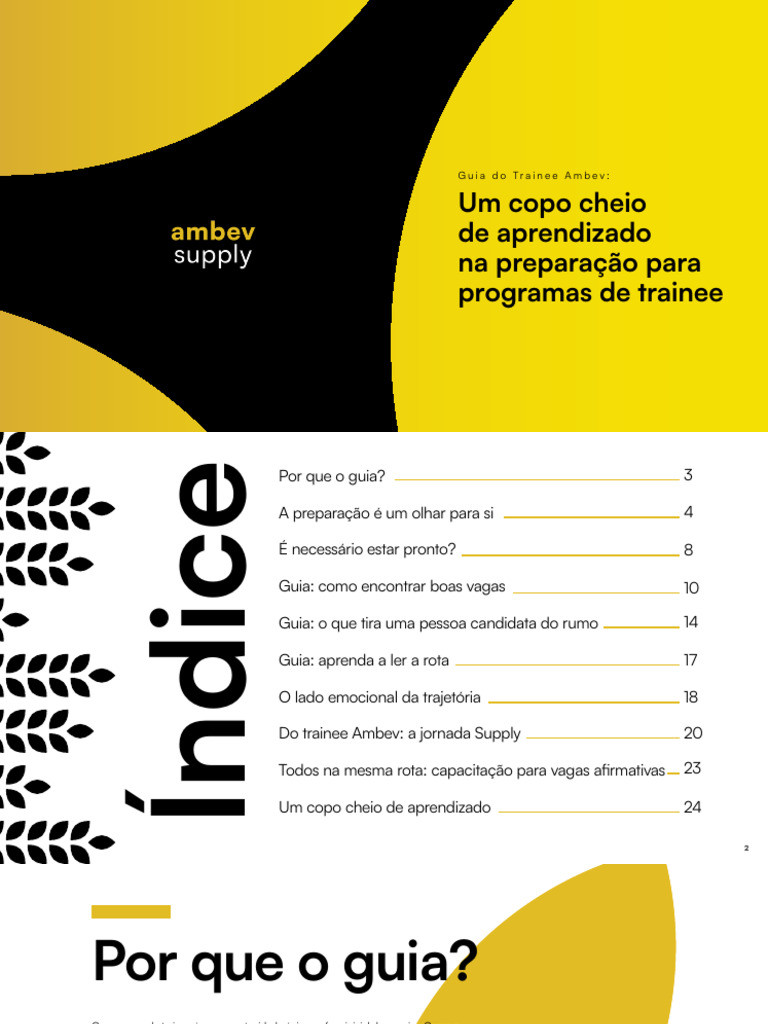 Ambev - Guia - Guia Do Trainee Ambev | PDF | Aprendizado | Conhecimento