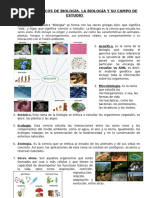 LOS ECOSISTEMAS. Sopa de Letras | PDF