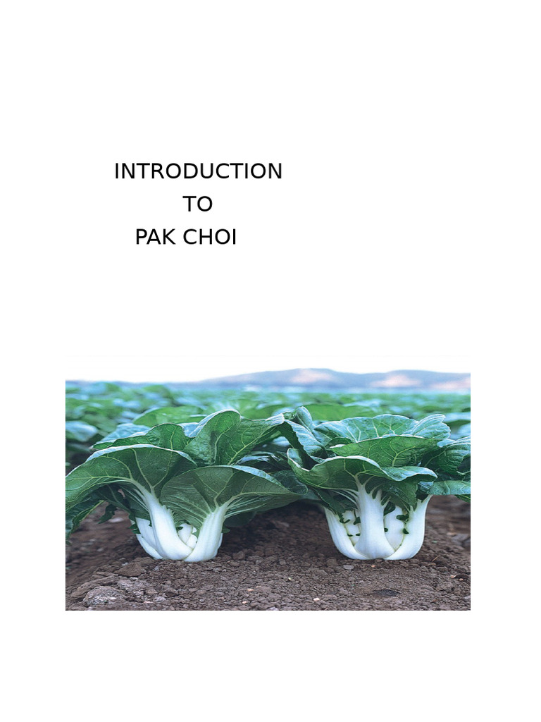 pack choi | PDF