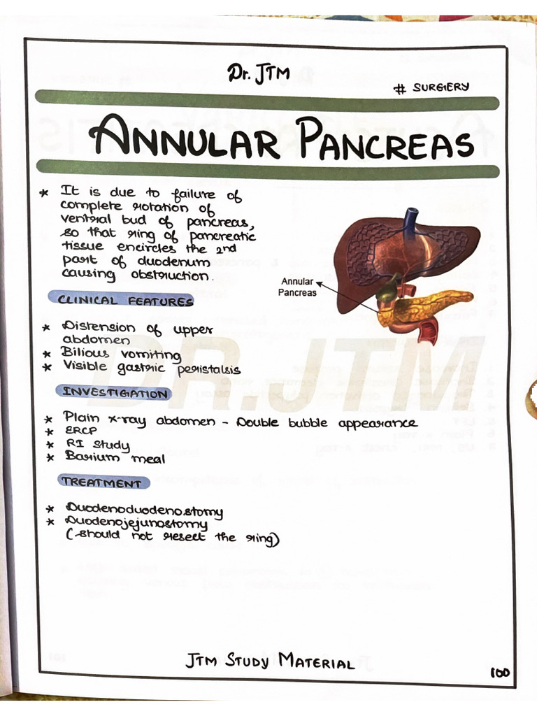 Pancreas Gs JTM | PDF
