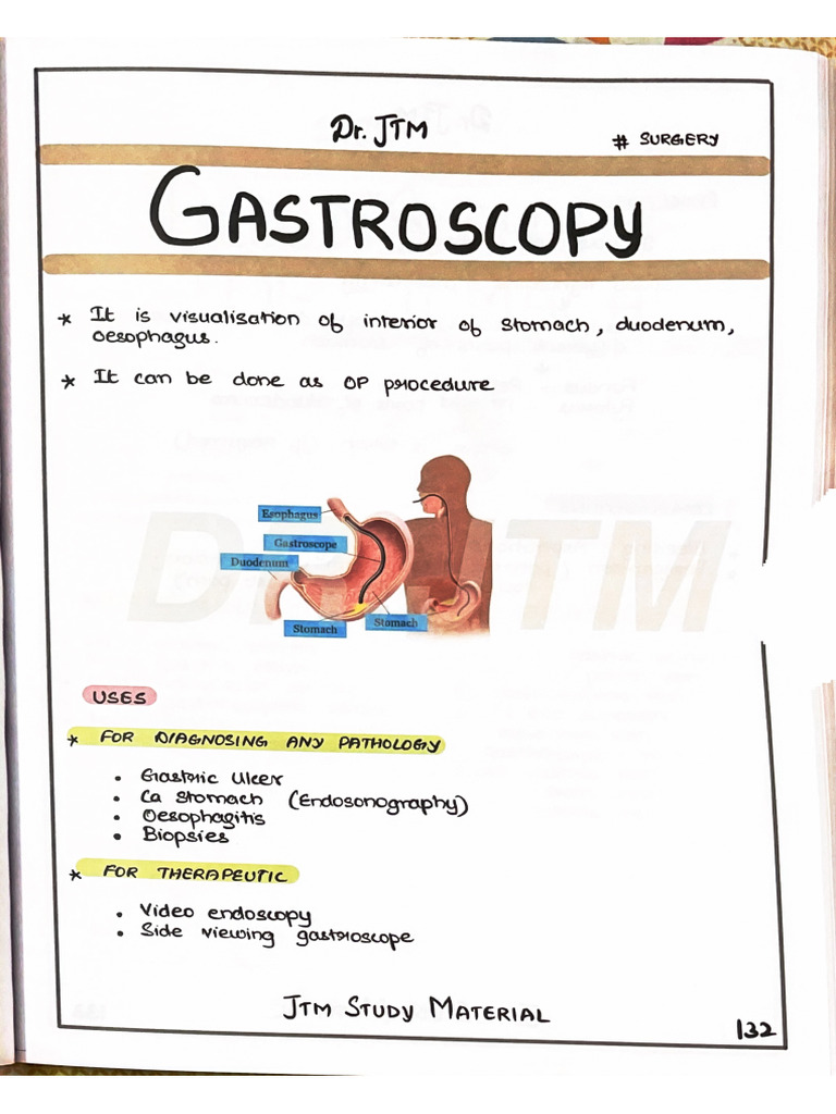 Stomach Gs JTM | PDF
