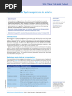 Understanding Hydronephrosis in Radiology | PDF | Urinary System ...