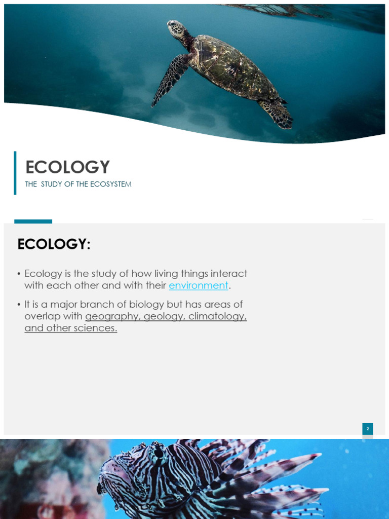 ECOLOGY As The Study of Ecosystem 1 | PDF | Ecosystem | Ecology