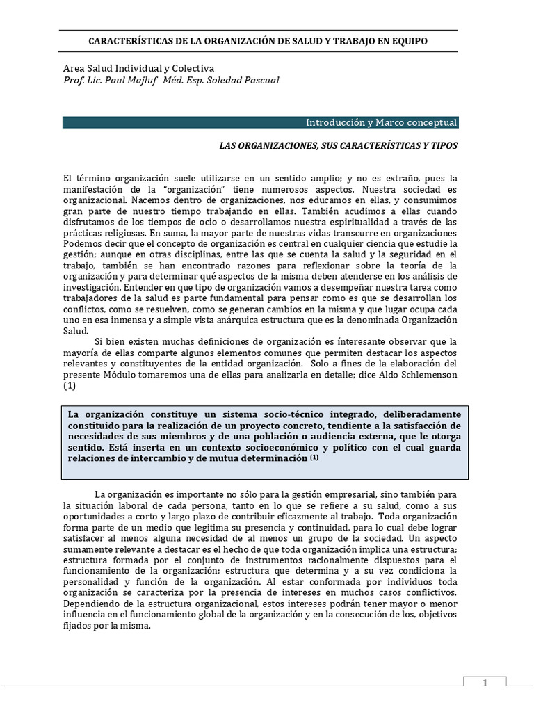 Caracteristicas de la organización de salud y trabajo en equipo | PDF | Burocracia ...