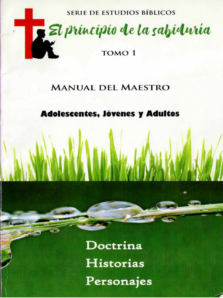 Manual Maestro | PDF