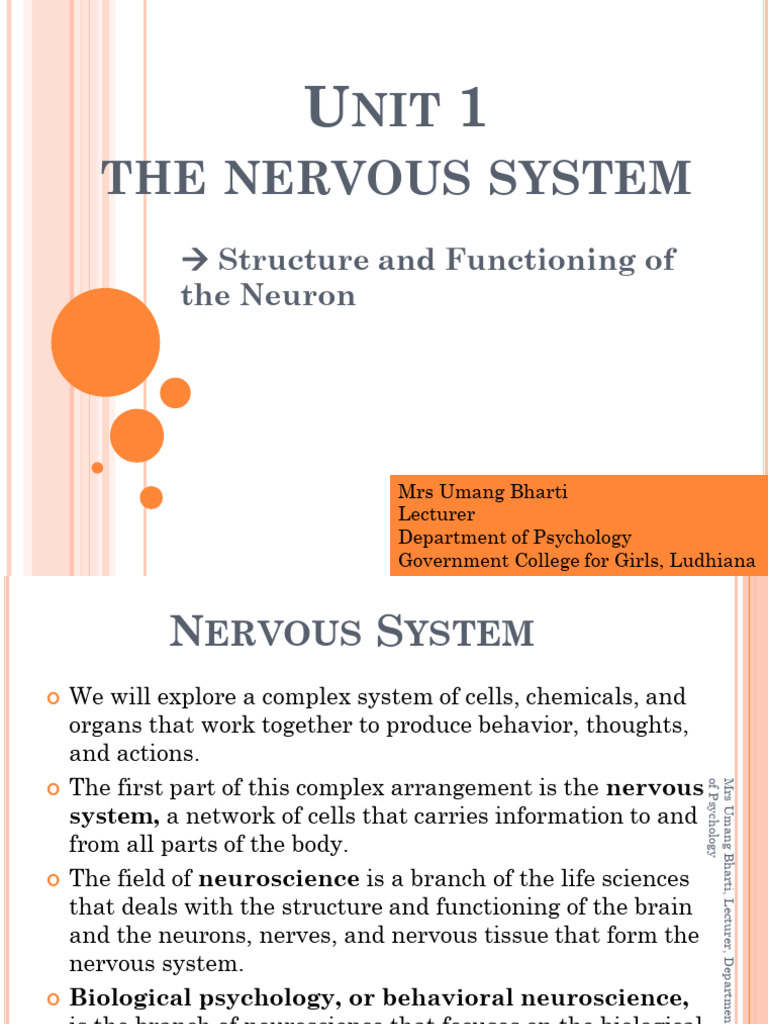 Unit 1 Structure and Functioning of Neuron | PDF | Neurotransmitter | Axon