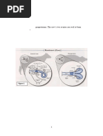 Anatomy Physiology of Reproduction in Female Pigs | PDF | Ovary ...