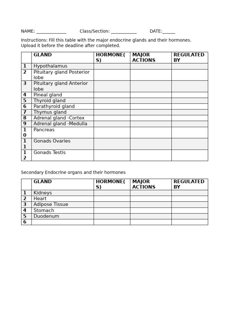 Endocrine Glands & Hormones Guide | PDF