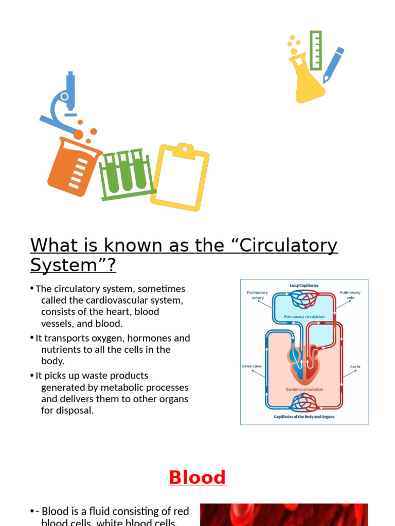 Understanding the Circulatory System | PDF