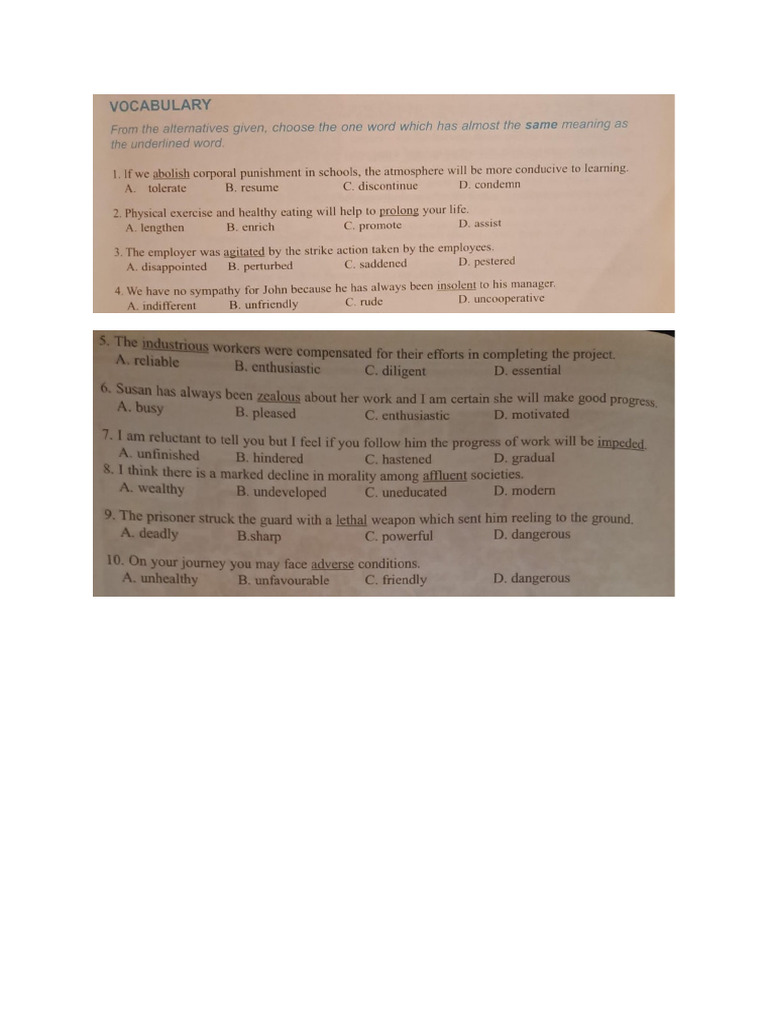 Synonym Exercise | PDF