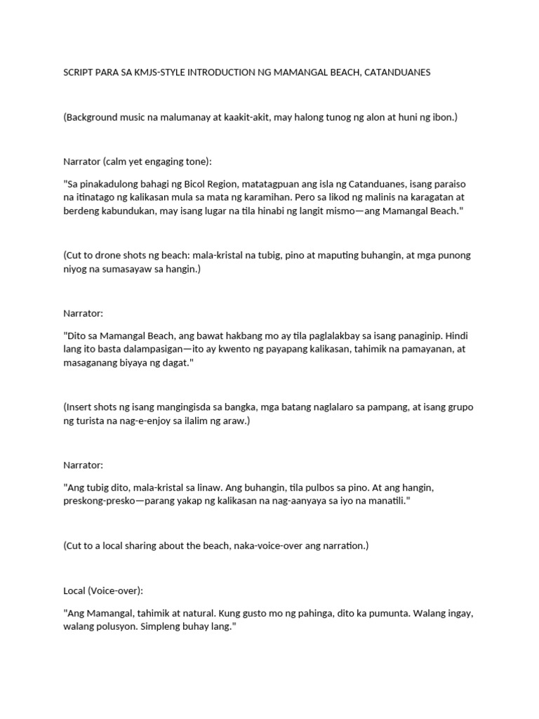 SCRIPT PARA SA-WPS Office | PDF