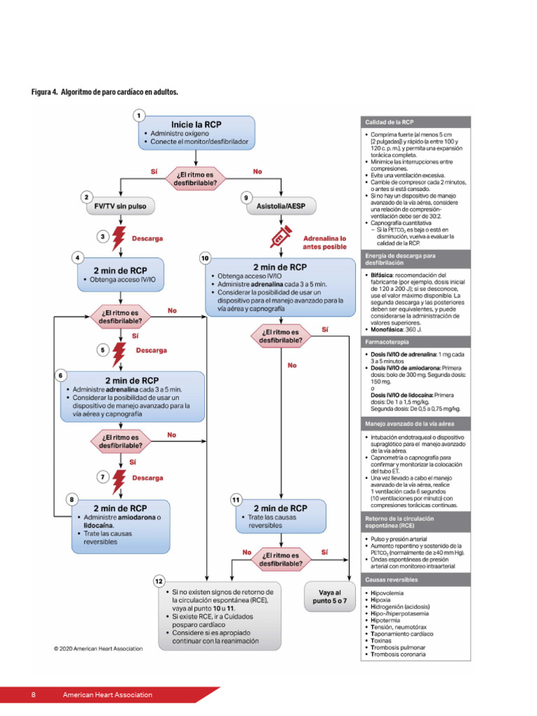 Algoritmo PCR Adulto 2020 Aha | PDF