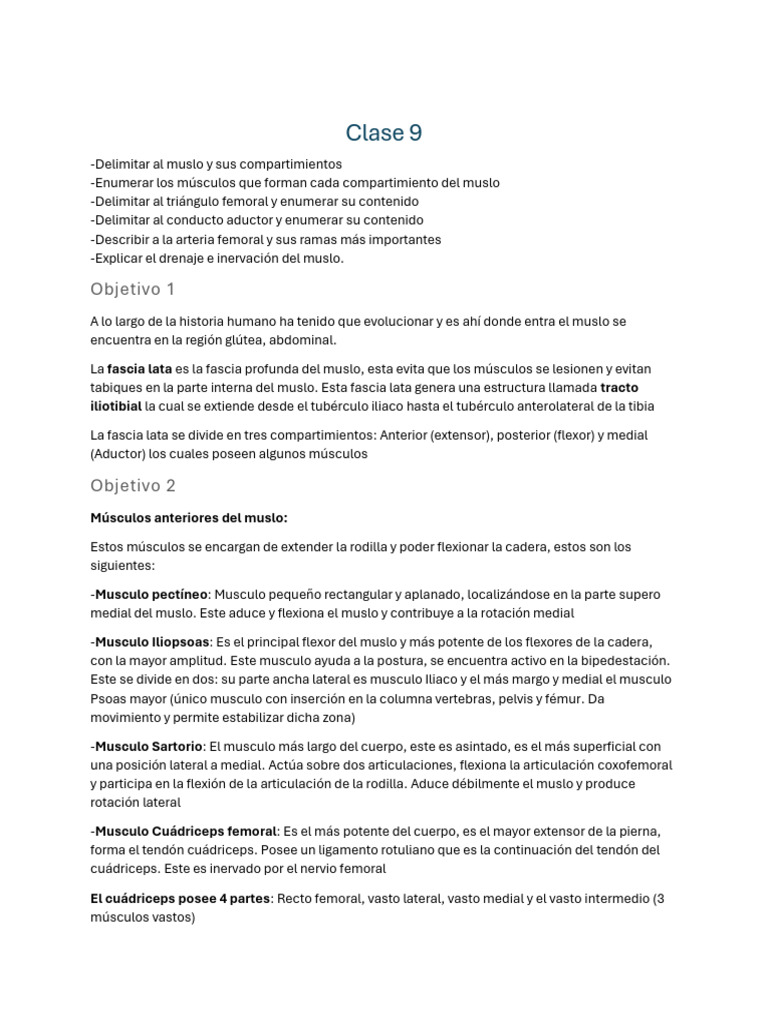 Anatomía del Muslo: Músculos y Vasos | PDF | Tejido suave | Anatomía humana
