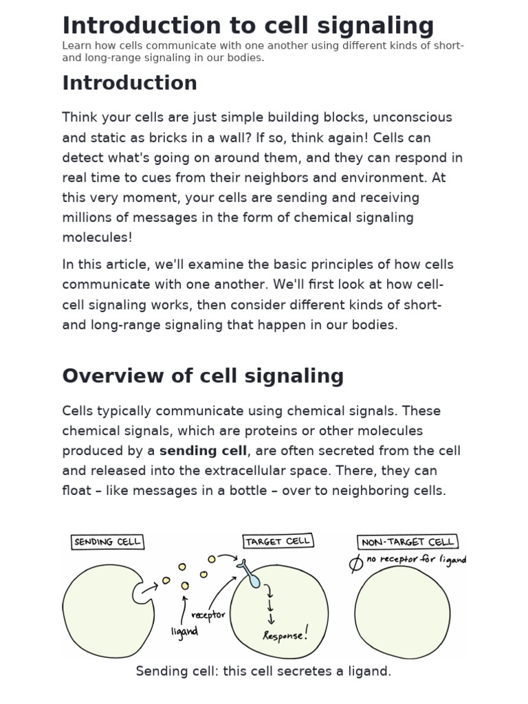 Understanding Cell Signaling Mechanisms | PDF | Cell Signaling | Synapse