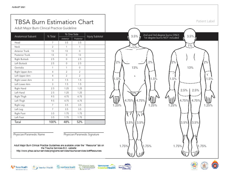 TBSA Burn Estimation for 2nd & 3rd Degree | PDF | Arm | Human Anatomy