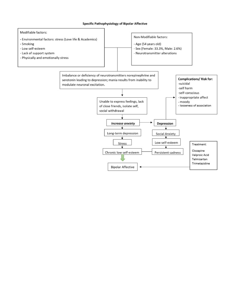 Specific Pathophysiology of Bipolar Affective 2 | PDF