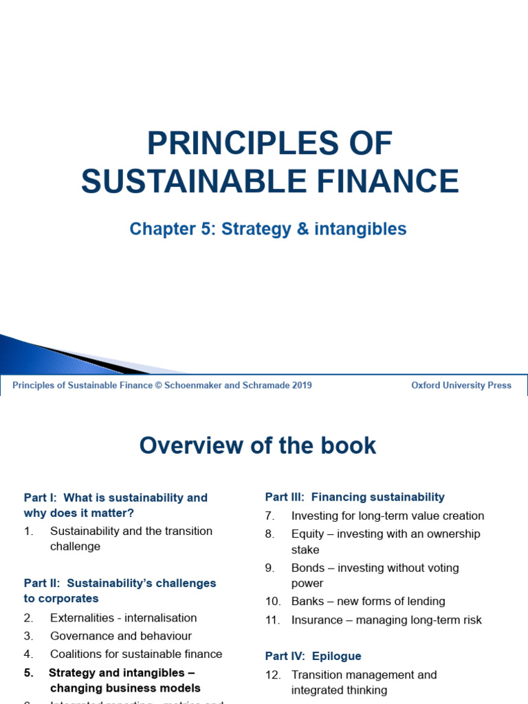 PSF Ch5 Strategy Intangibles 2019 | PDF | Sustainability | Business Model
