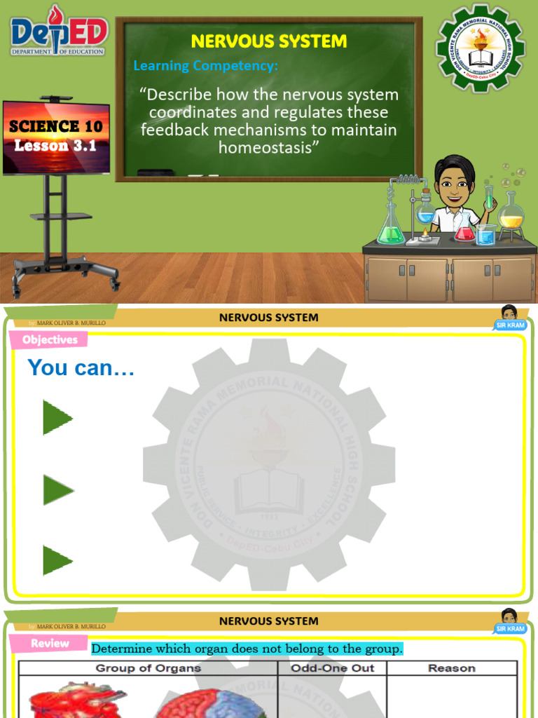 Lesson 3.1 Nervous System | PDF | Central Nervous System | Nerve