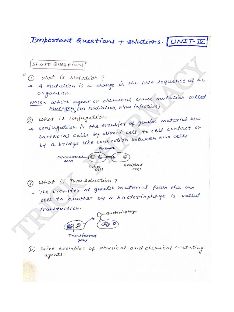 Biotechnology Unit 4 Important Questions & Solutions | PDF | You Tube