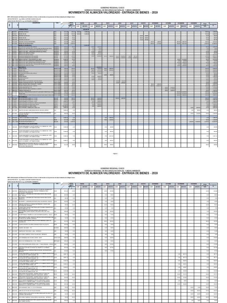 Informe de Almacén 2019: Cusco | PDF