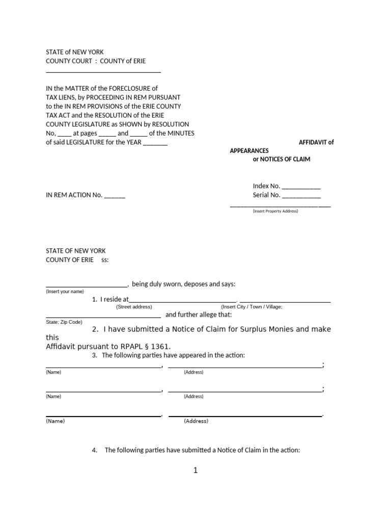 Aff Appearances and Notices of Claim County in Rem | PDF | Justice ...