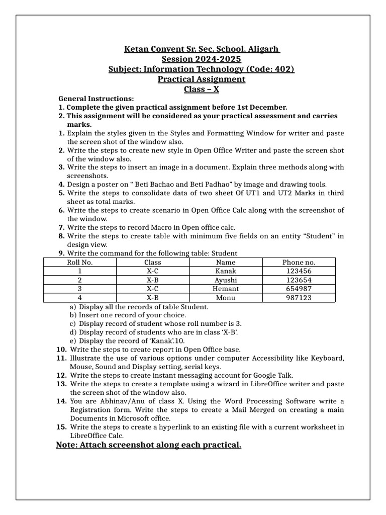 IT Assignment Class X | PDF | Computer Science | Computing