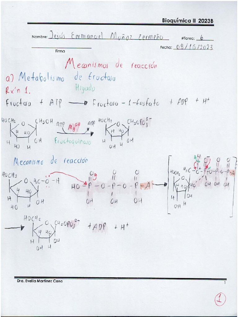 Tarea 6 (Mecanismos de Reacción) - Bioquímica II - Jesús Emmanuel Muñoz Zermeño | PDF