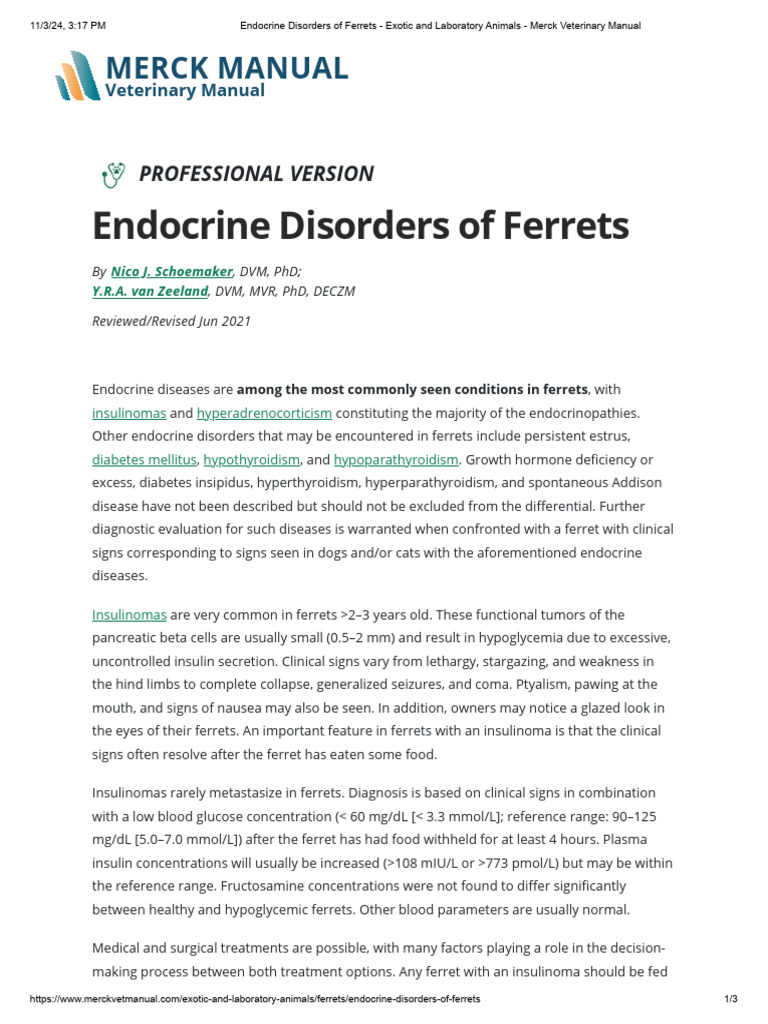 Endocrine Disorders in Ferrets Explained | PDF | Hypoglycemia ...