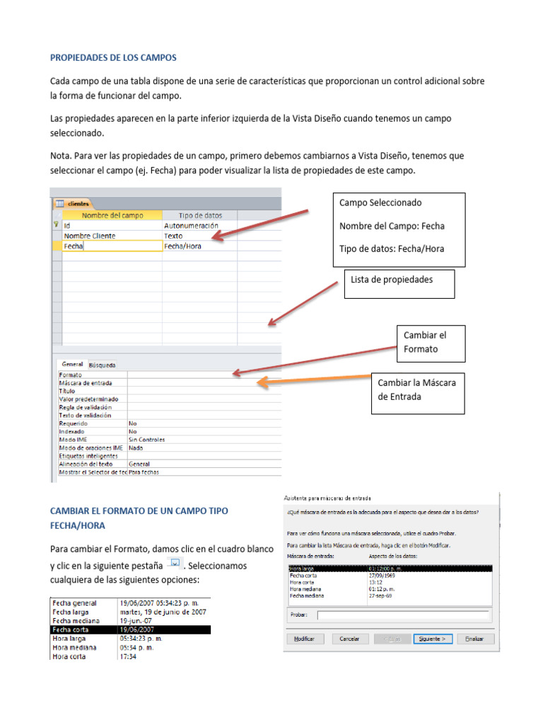 Propiedades y Formatos de Campos en Tablas | PDF