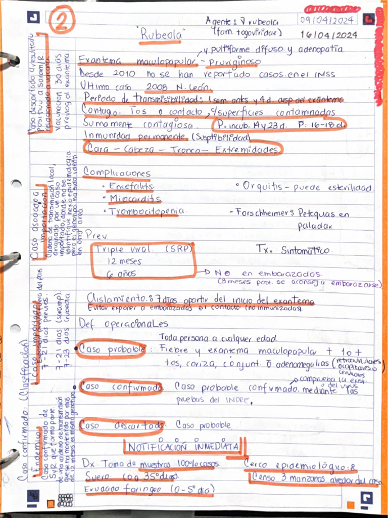 Documento Escaneado 24-11-24. 1.33.28 A.M. | PDF