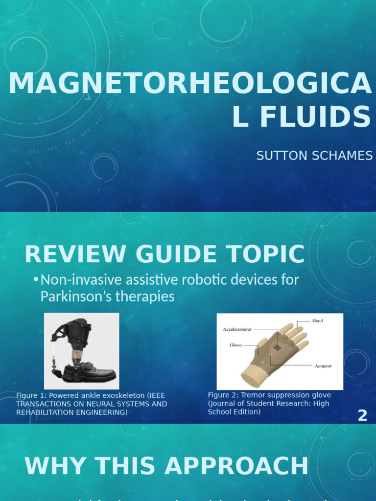 Schames PPT Draft Final | PDF