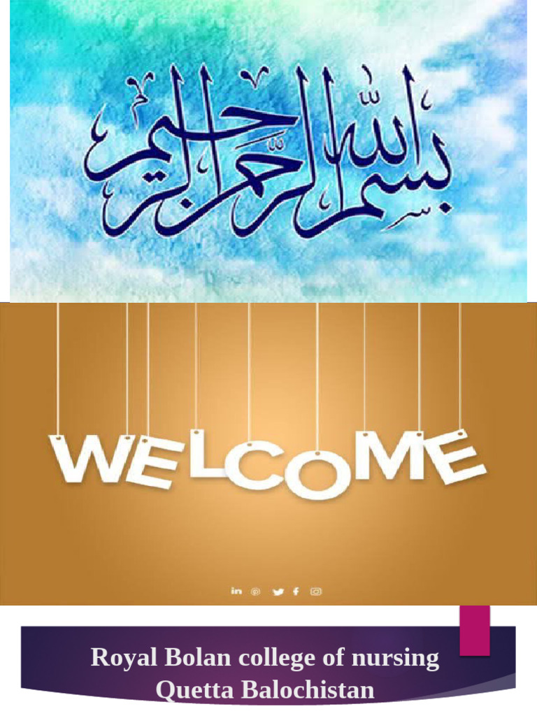 Farhan Presentation | PDF