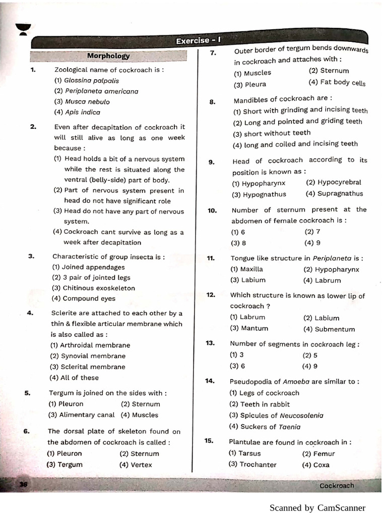 Cockroach (Sub-Topic Wise Questions) | PDF