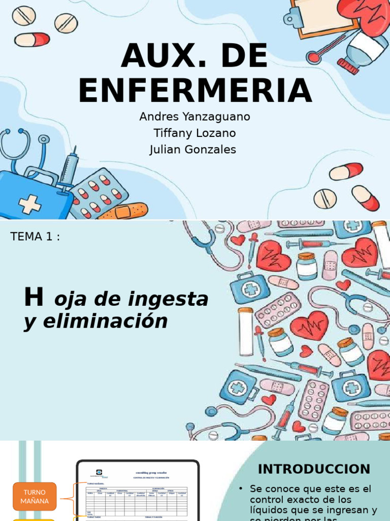 Hoja de Ingesta y Excreta, Vias Parenterales (1) | PDF | Medicamentos ...