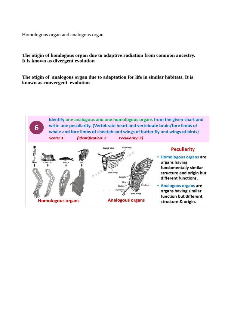 Analogous and Homologous Organs For Practical | PDF