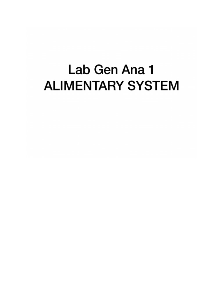 Lab Gen Ana 1 Alimentary | PDF