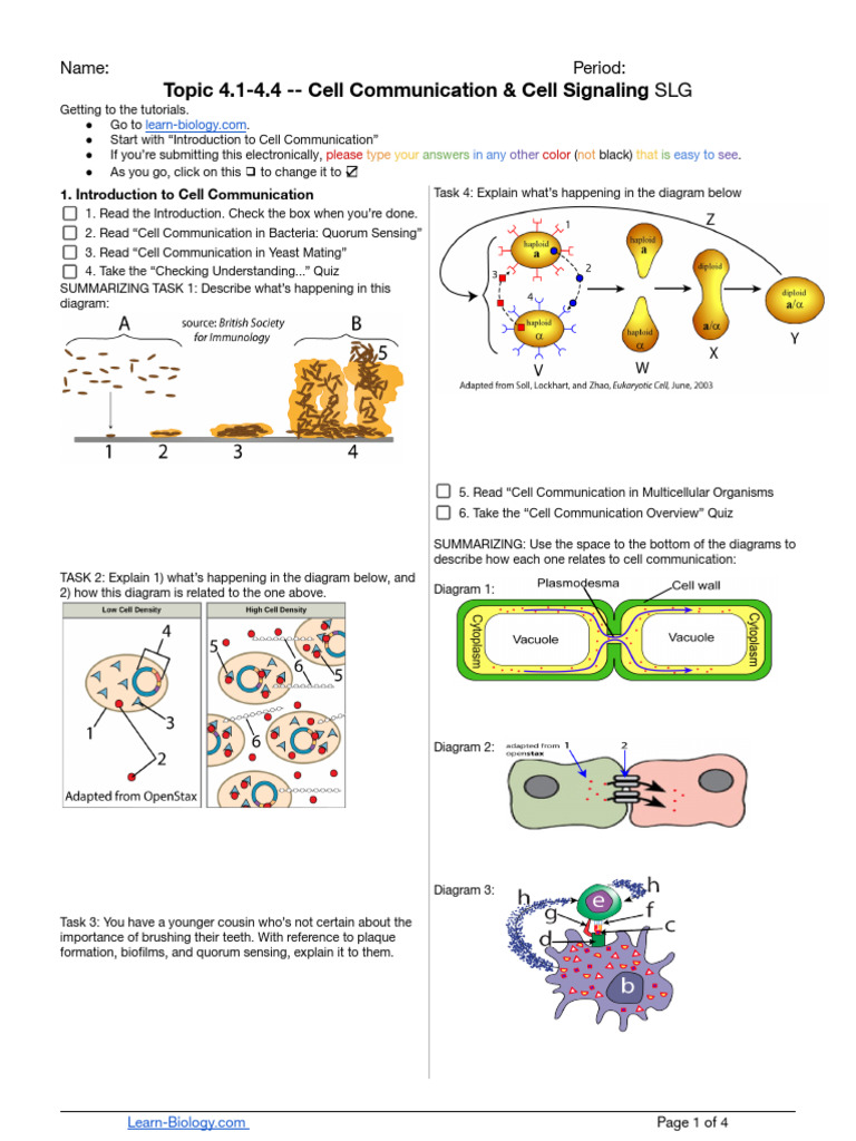 Cell Communication and Signaling Overview | PDF | Hormone | Cell Signaling