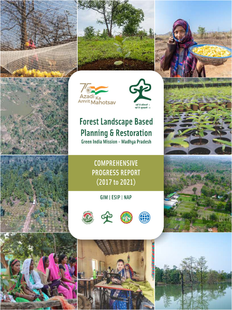 GIM Comprehensive Report | PDF