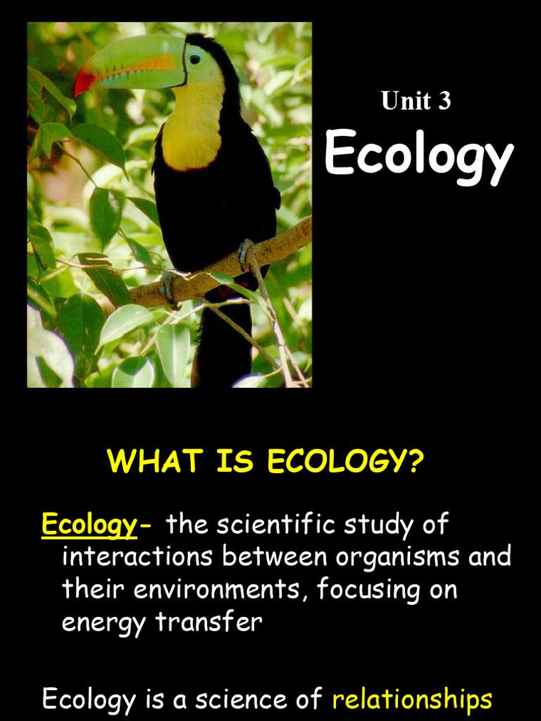 Introduction To Ecology | PDF | Food Web | Symbiosis