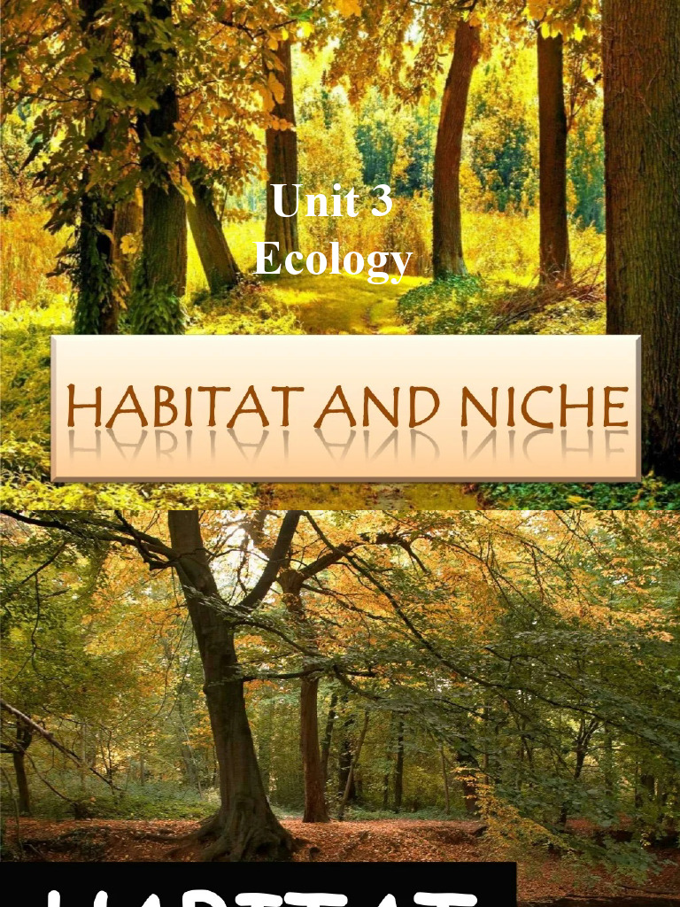 Introduction Habitat and Niche PPT | PDF