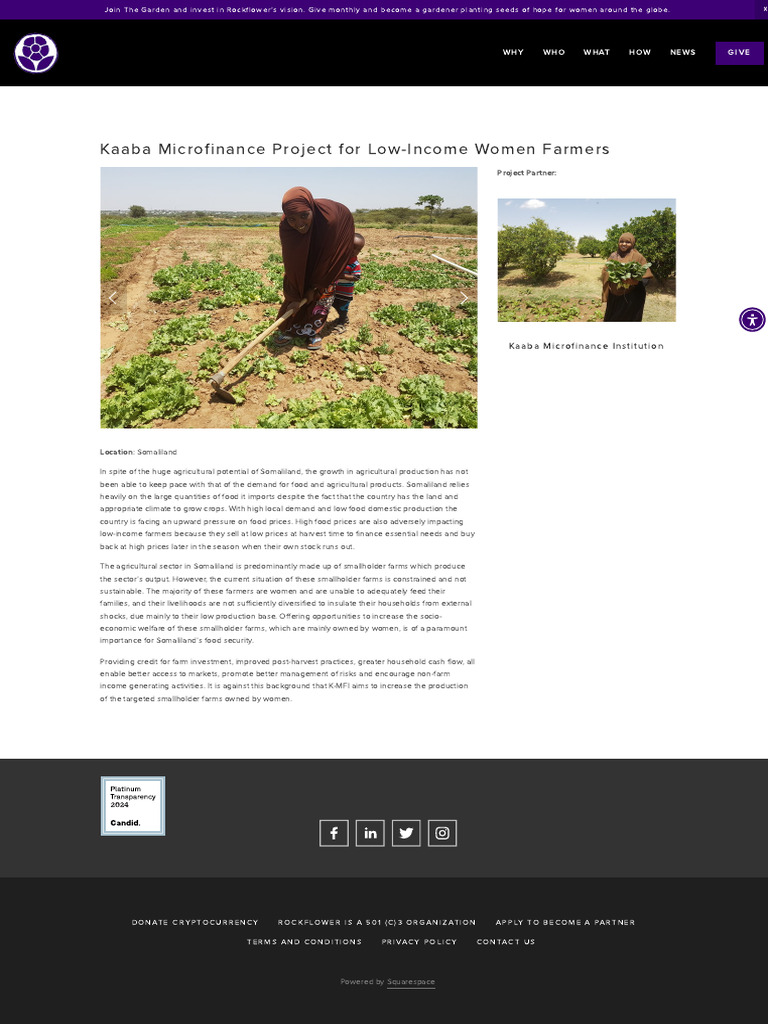 Microfinance Project For Low-Income Women-Farmers - Rockflower | PDF ...