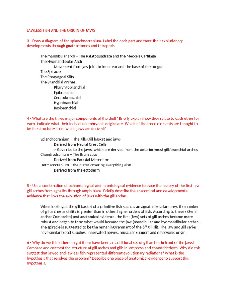 Exam 02 Vertebrate Evolution | PDF | Gill