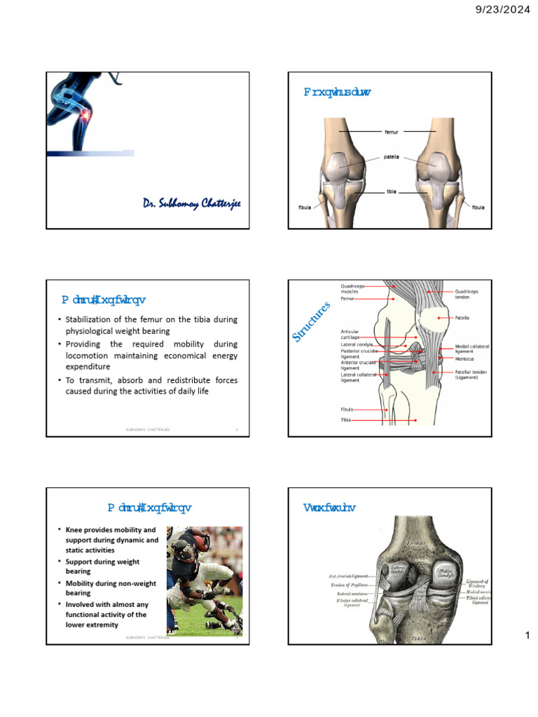 Knee Biomechanics and Function Overview | PDF | Knee | Joints