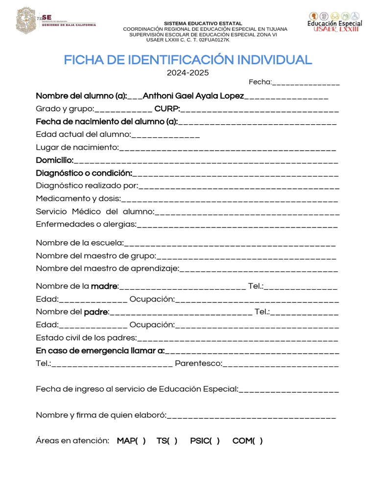 Ficha Identificación Educación Especial | PDF