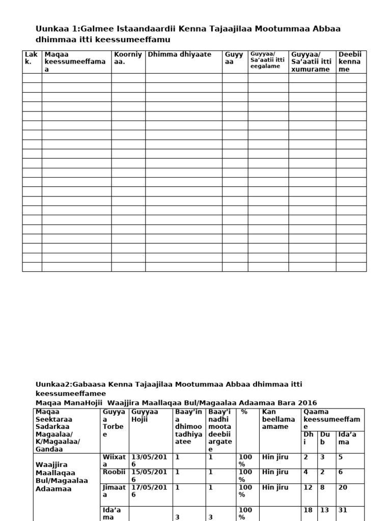 Galmee Istaandaardii Kenna Tajaajilaa Mootummaa Abbaa Dhimmaa Itti | PDF