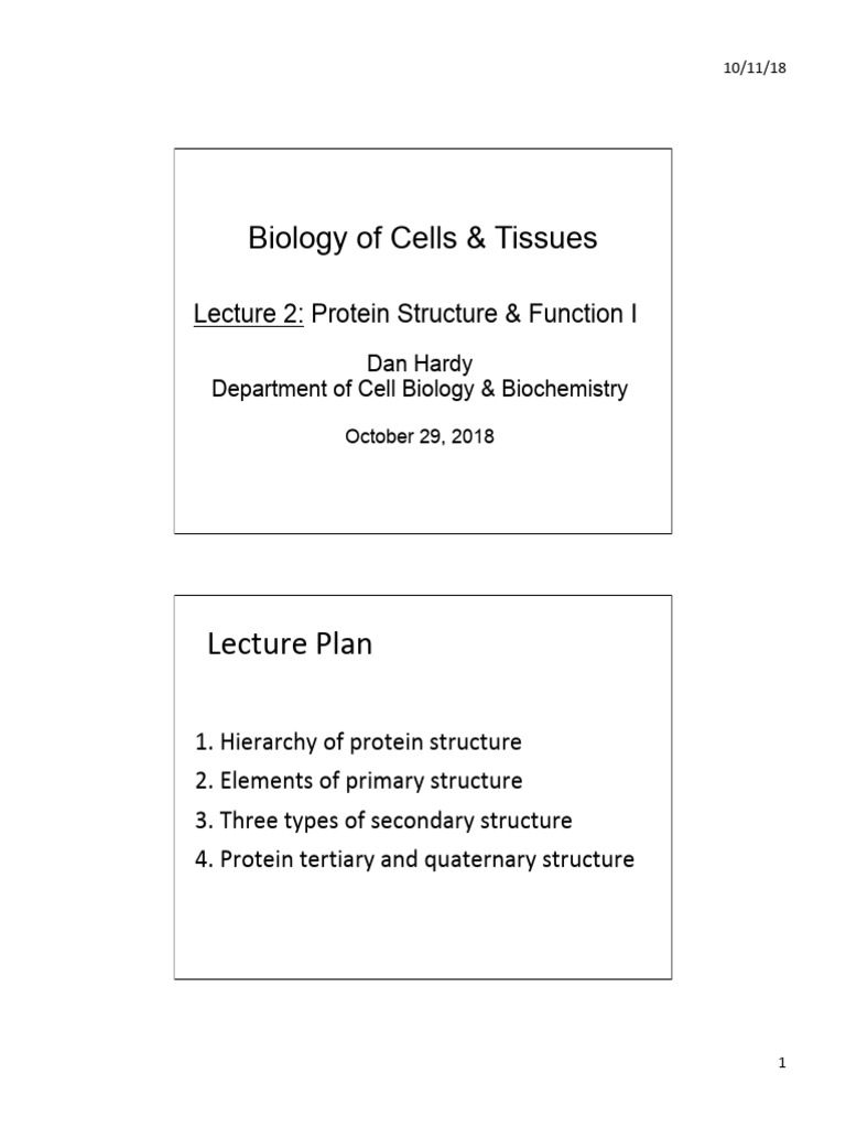 Protein Structure and Function Overview | PDF | Protein Structure | Beta Sheet